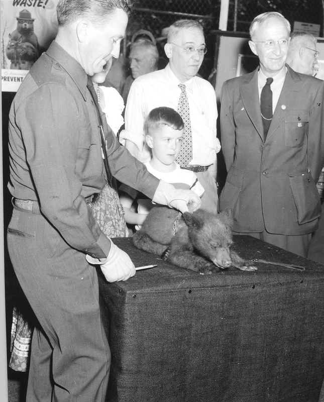 The Real Smokey the Bear Makes his Debut in at the National Zoo in ...