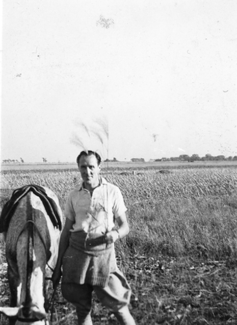 Snapshot of John Paton Davies, Jr. Beside a Horse in Mukden, China ...