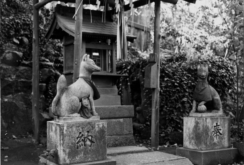 Shinto Fox Statues in Tokyo, Japan | Harry S. Truman