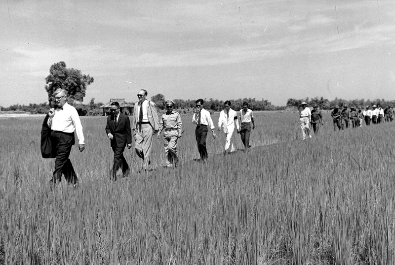 Rice Paddy at Vinh Loc, Vietnam | Harry S. Truman