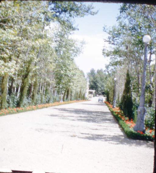 Scenic View Of Roadway Harry S Truman Scenic View Of Roadway Harry S Truman