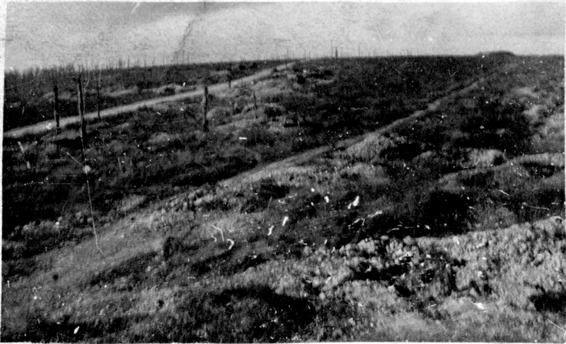 Devastated Countryside in World War I France | Harry S. Truman