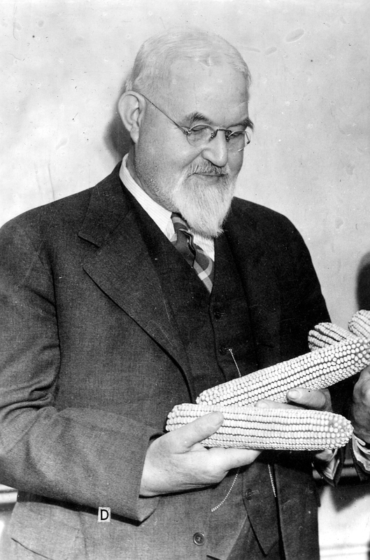 George Harrison Shull with hybrid corn | Harry S. Truman