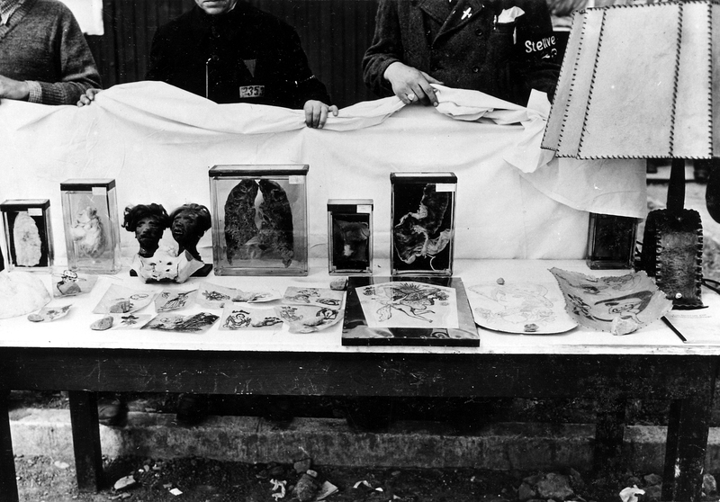 Nazi "souvenirs" from concentration camp | Harry S. Truman