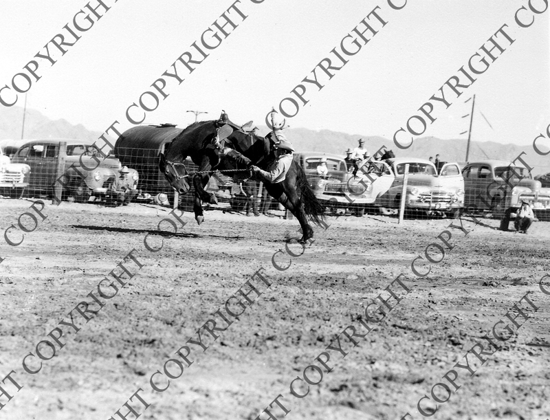 Cowboy falling off his horse at a rodeo | Harry S. Truman
