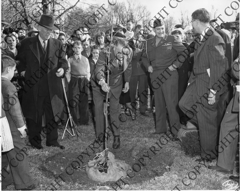 Planting of a tree on Capitol Grounds | Harry S. Truman