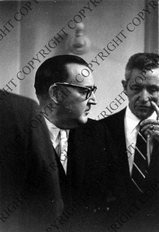Governor Edmund G. "Pat" Brown of California | Harry S. Truman