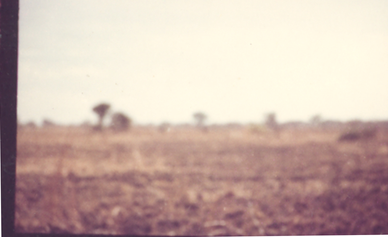 Color Photo of Open Bush Country in Sudan | Harry S. Truman