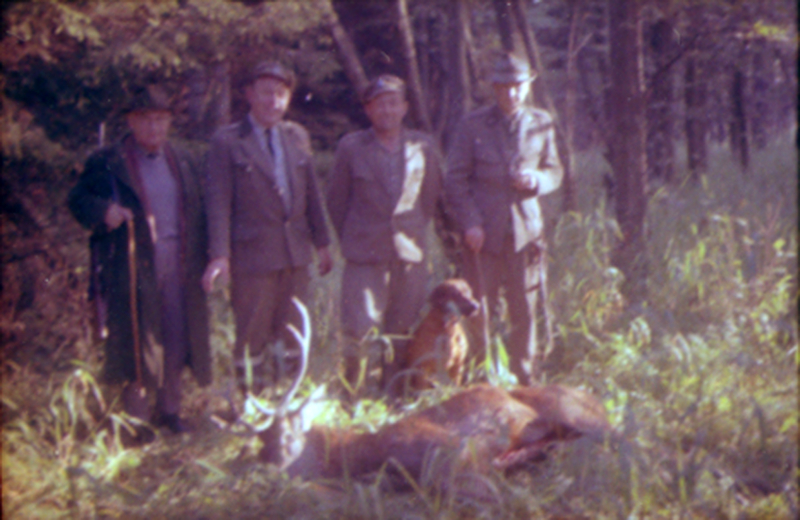 Four Men and Deer During Hunting Trip in the Balkans | Harry S. Truman