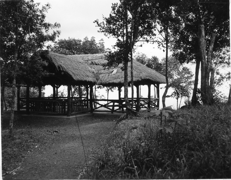 Tropical Shelter at Maricao in the Caribbean National Forest, Puerto ...