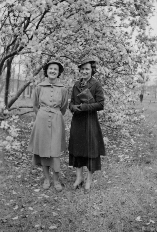 Odum and Bixler Under Cherry Trees | Harry S. Truman