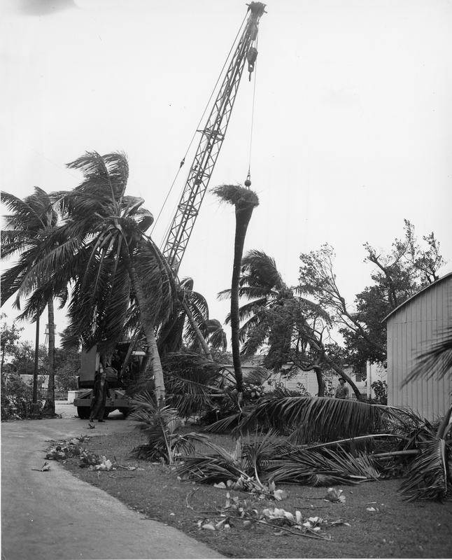 Cleaning Up Damage from Hurricane | Harry S. Truman