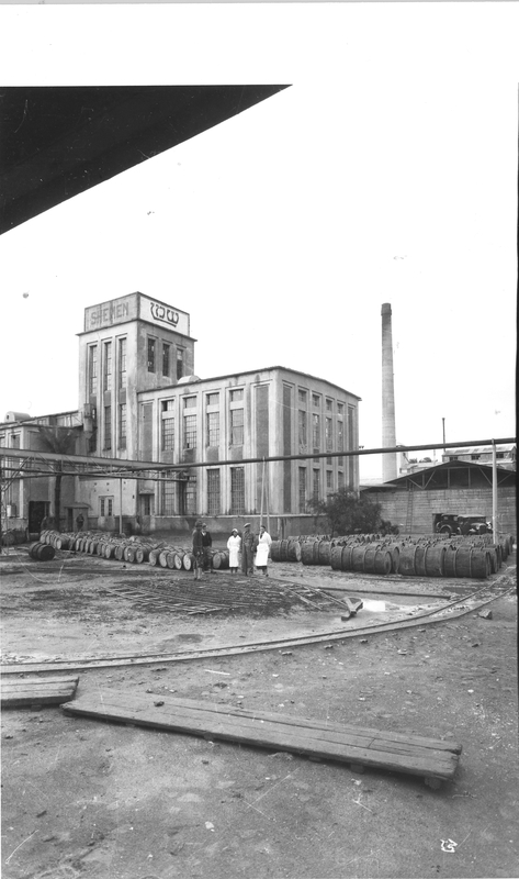 Jewish Factory in Palestine | Harry S. Truman