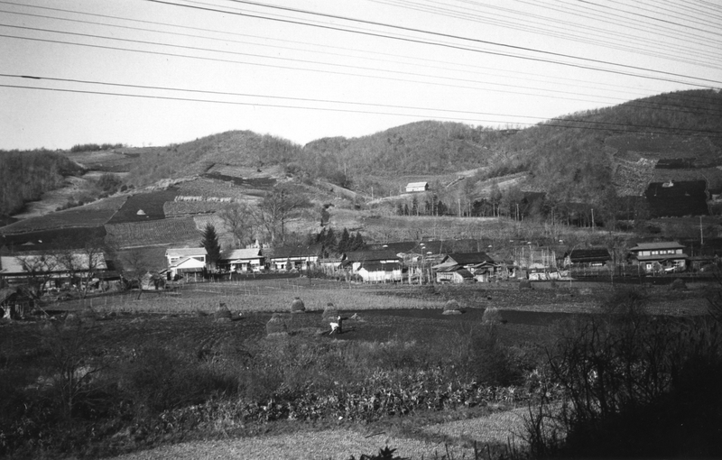 Tohoku Line Scenery | Harry S. Truman