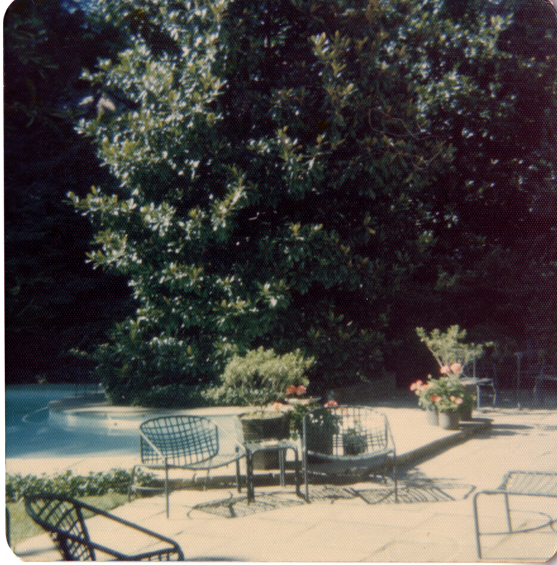 Photograph of a Garden and Pool | Harry S. Truman