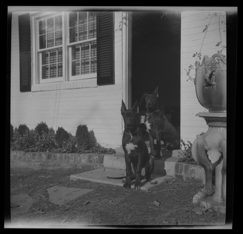 Hero and Nero | Harry S. Truman