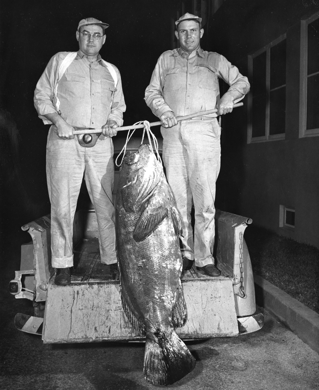 Fish Caught on Truman Vacation | Harry S. Truman
