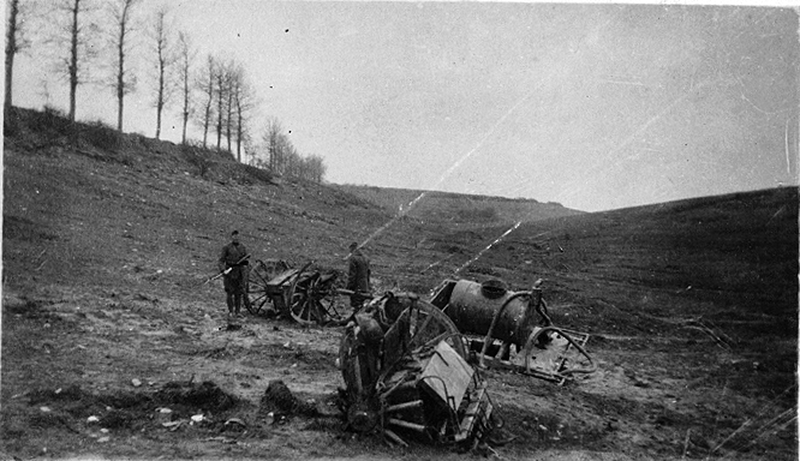 Horse line, Battery B, 126th F. A. after Argonne drive during World War ...