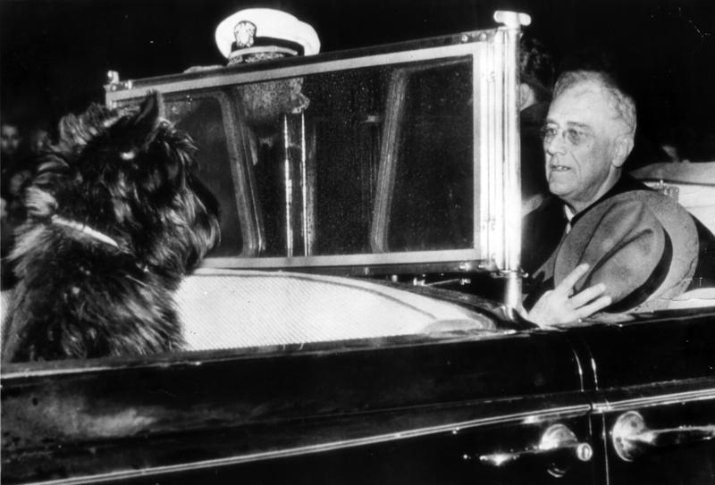 President Roosevelt in a car | Harry S. Truman