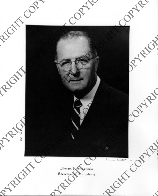 Portrait of Clinton P. Anderson | Harry S. Truman